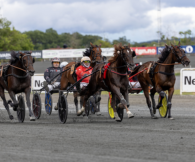 UET Elite circuit – UET Trot